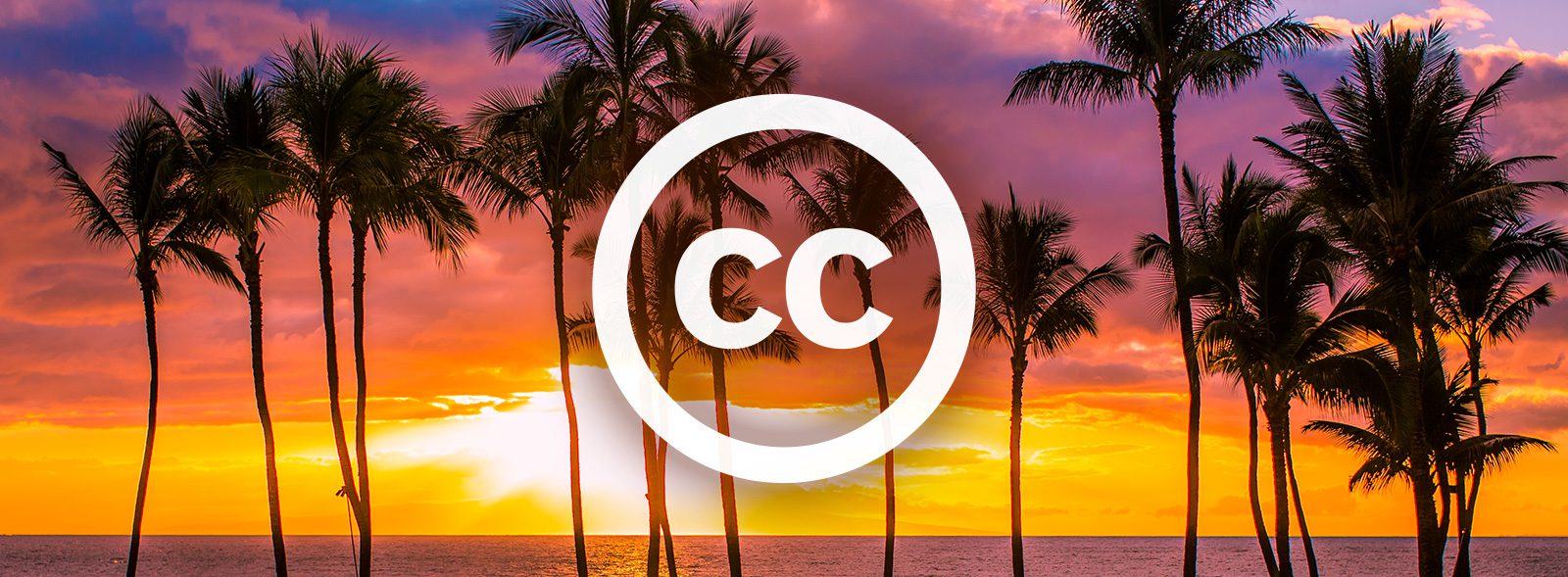 Using Creative Commons Images The Complete Guide CYBERsprout Using Creative Commons Images The Complete Guide CYBERsprout